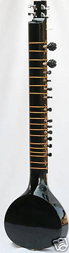 Electric Sitar & Acoustic-Electric Sitar Reviews