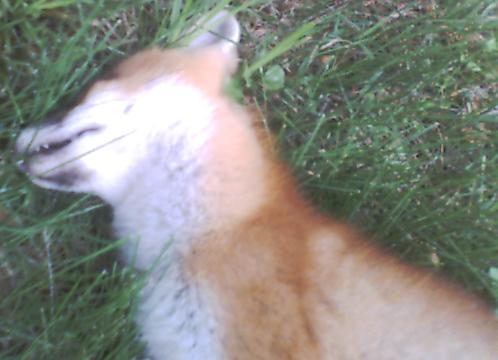 The Centre For All Time Wasted