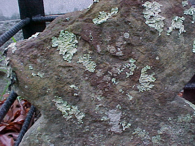 Close up of original stone