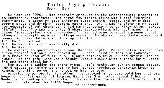 Taking Flying Lessons