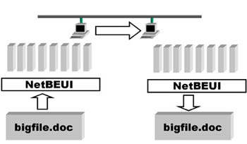 Printer Friendly Version of Lesson 05
