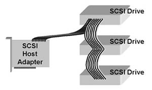 Printer Friendly Version of Lesson 09