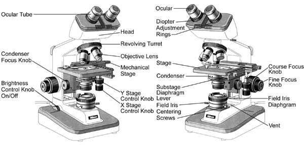 Compound Microscope Diaphragm