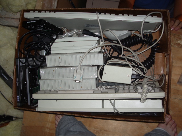 diamond viper video card AGP