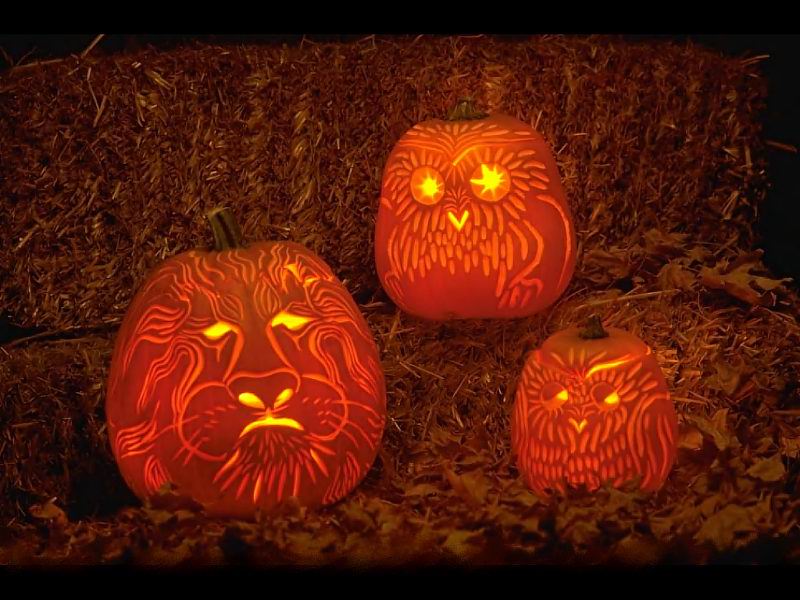 Welcome to my Web site