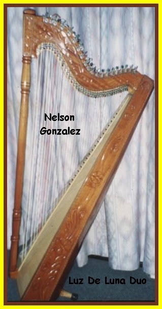 The Paraguayan Harp