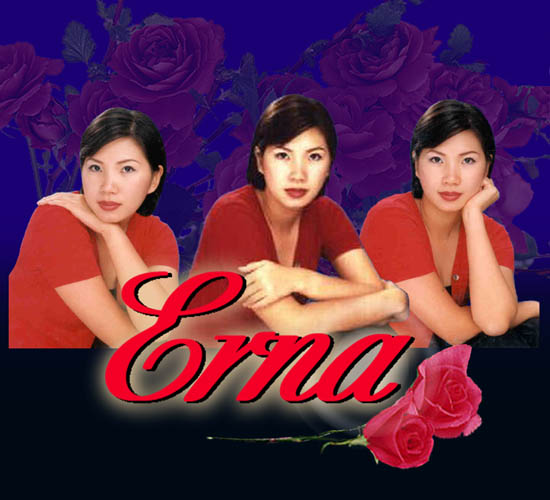Hi, friends! Welcome to ERNA's homepage! Glad to see you here...