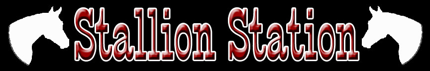 May Performance Horses~Stallion Service