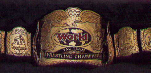WWE WORLD TAG TEAM CHAMPIONS