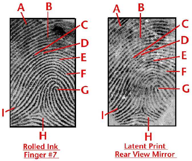 Fingerprints