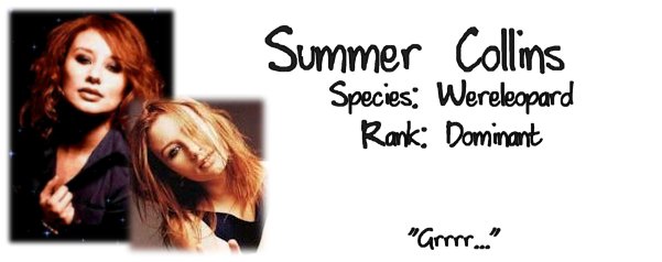 My Virtual Photo Album