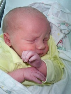 Home [www.angelfire.com]