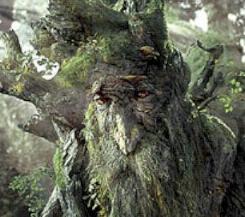 Treebeard and the Ents