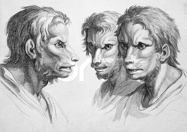 Werewolf Classification System