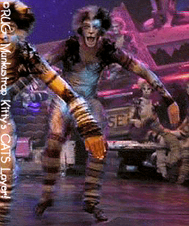 About the Character-