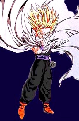 Gohan Pictures