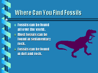 Where Can You Find Fossils