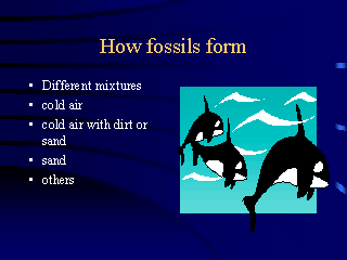 How fossils form