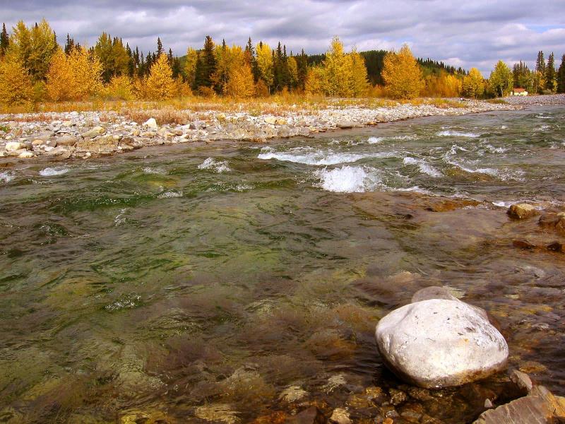 Rafting On The Elbow