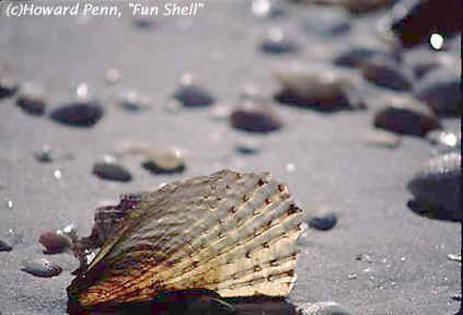 New Page 1 [www.angelfire.com]