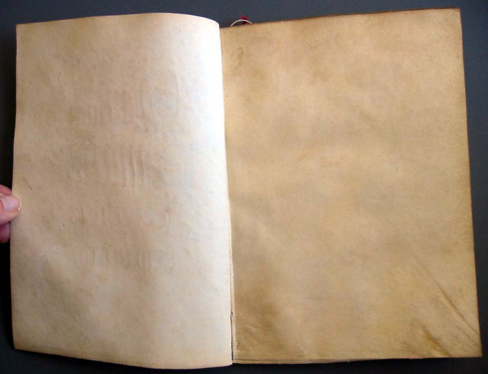 My Medieaval Illuminated Manuscripts