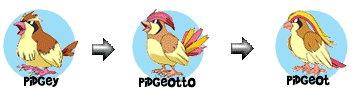 Pokédex:Pidgeotto
