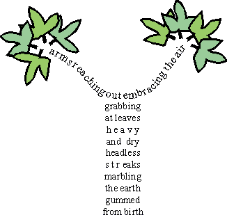 Gum Tree - Visual Poetry by Jennifer Phillips