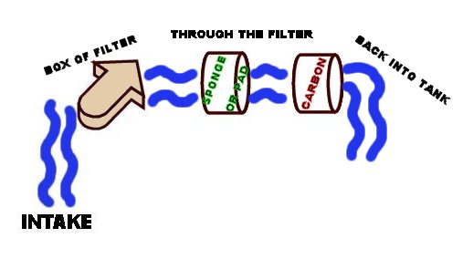 THE JOB OF THE FILTER