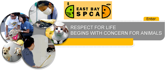 East Bay SPCA