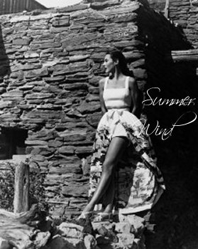 ~Summer Wind~