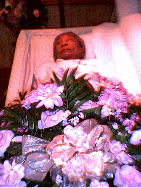 HOME PAGE [www.angelfire.com]