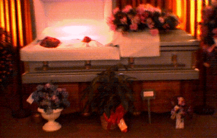 HOME PAGE [www.angelfire.com]