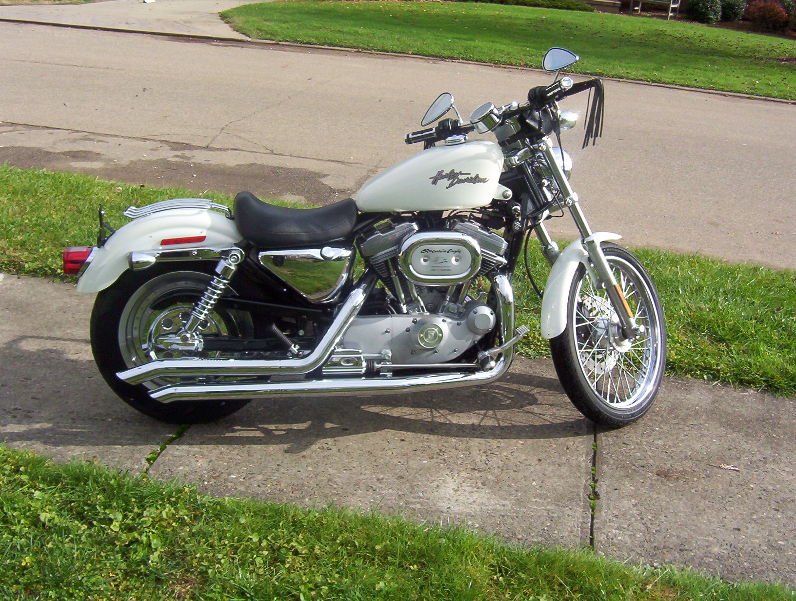 View Full-Size Image