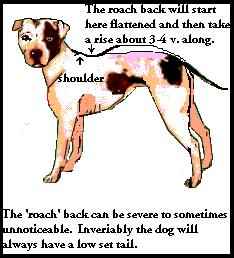 The Handy Dandy Dogger Page