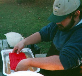 Loading Eggs into Scotty Incubators