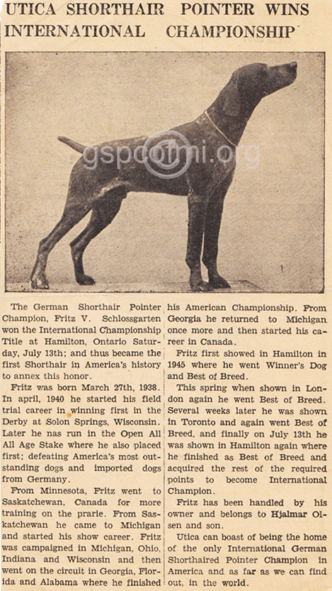 The German Shorthaired Pointer Club of Michigan