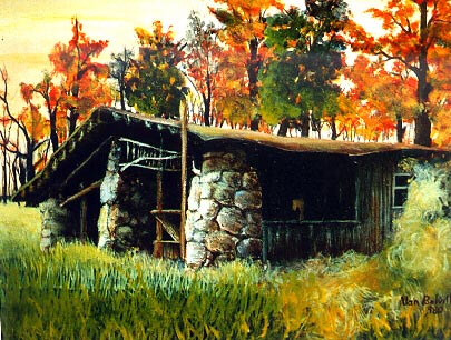 A nice little rustic shack in the woods