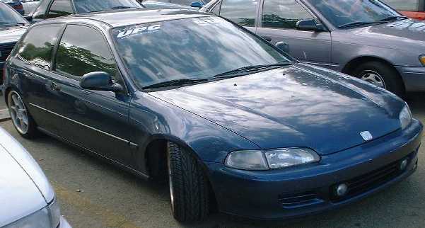 Beyond Extreme || Miami Rides