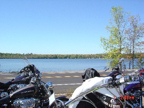 View Full-Size Image