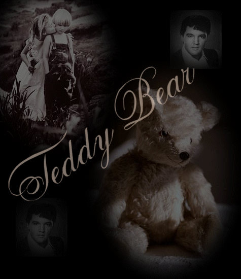 Teddy Bear