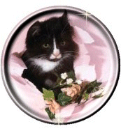 New Chapter in the Book of Genesis ~ For Cat Lovers or Not....