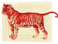 TIGERS