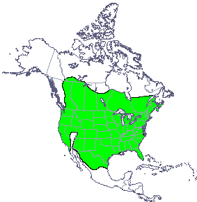 Biogeography of Striped Skunk