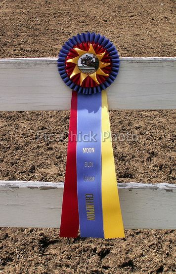 MOON RUN FARM PHOTO PAGES