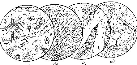 Textures of Igneous Rocks/S.Nasir