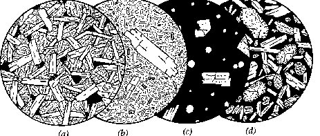 Textures of Igneous Rocks/S.Nasir
