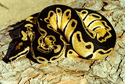 photos divers non ajoutées aux fiches