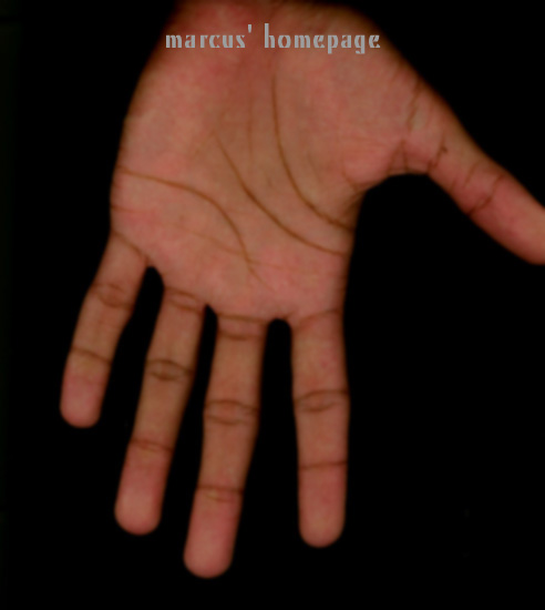 welcome [www.angelfire.com]