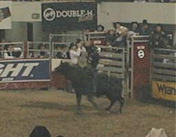 Rodeo, Bull Riding, PBR, PRCA, Dan Etbauer, Tuff Hedeman, Cowboys