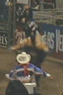 Rodeo, Bull Riding, PBR, PRCA, Dan Etbauer, Tuff Hedeman, Cowboys